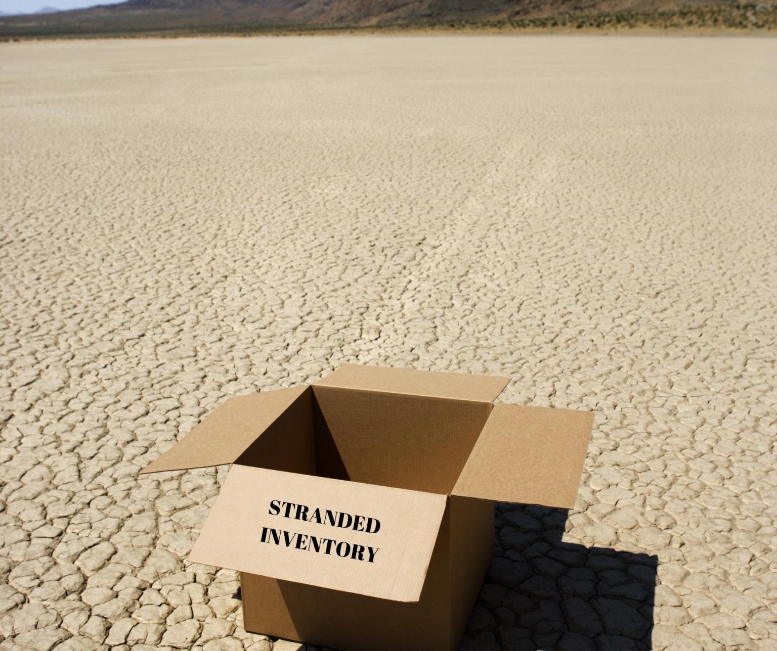 What Is Stranded Inventory and How to Fix It - SellerEngine