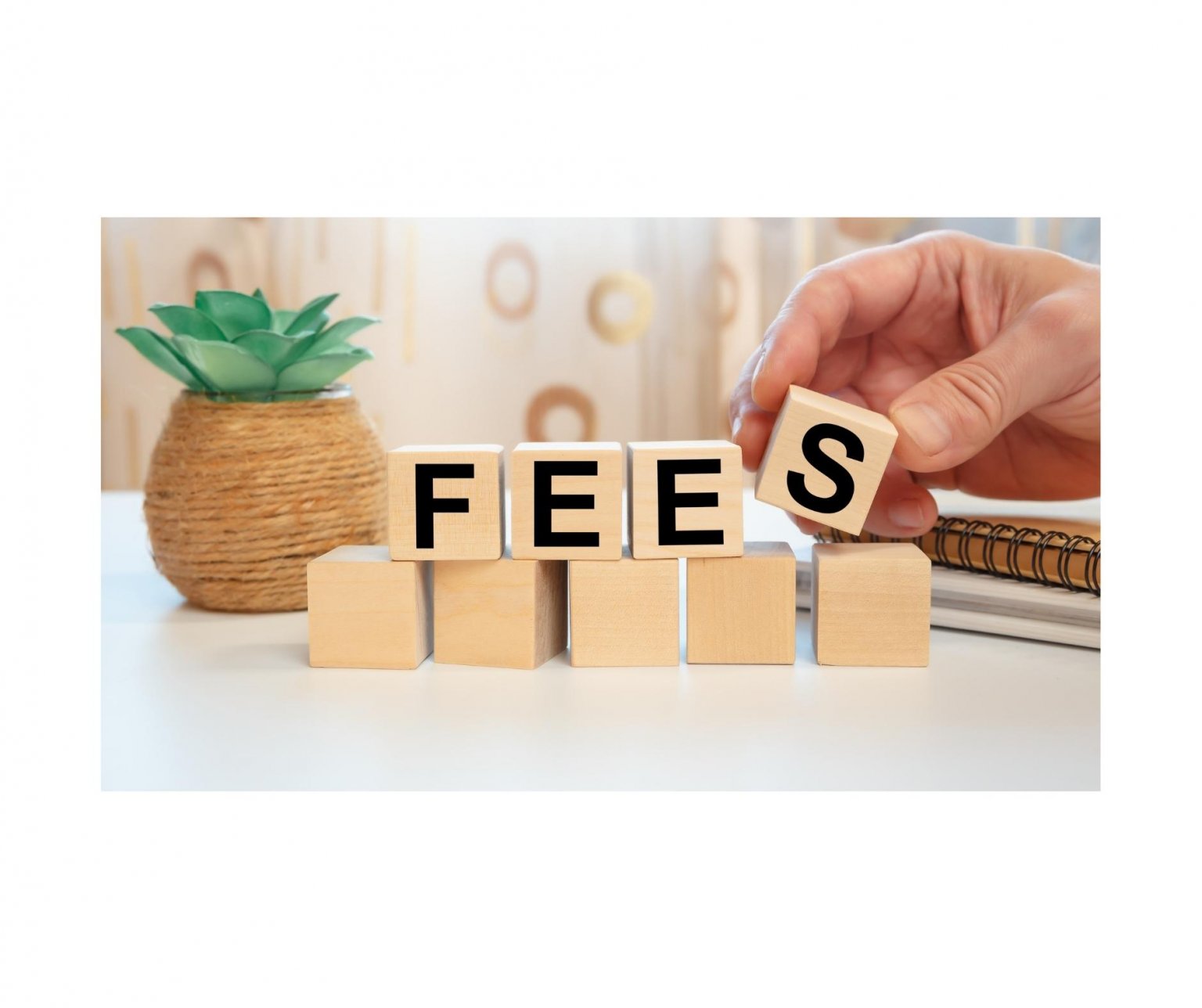 Amazon FBA Fee Changes: How to Turn Them to Your Advantage - SellerEngine